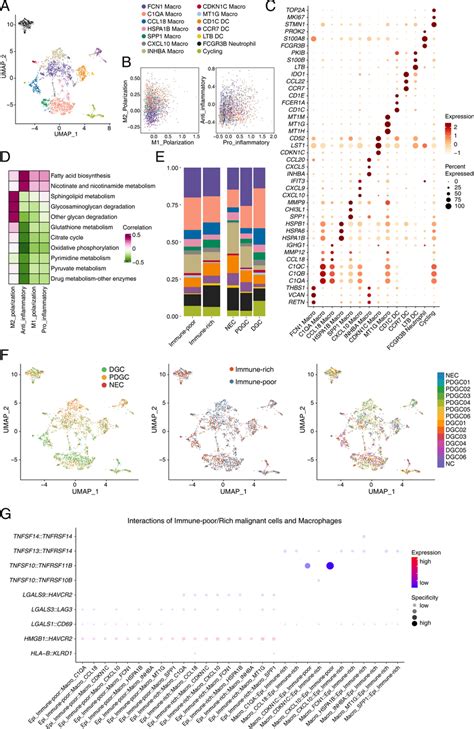 Transcriptomic Characteristics Of Myeloid Cells In Gastric Cancer A Download Scientific