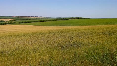 Община Оряхово продава на търг нива