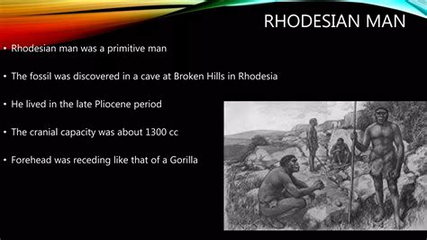 Fossil Record Of Human Evolution Pptx Geology Science