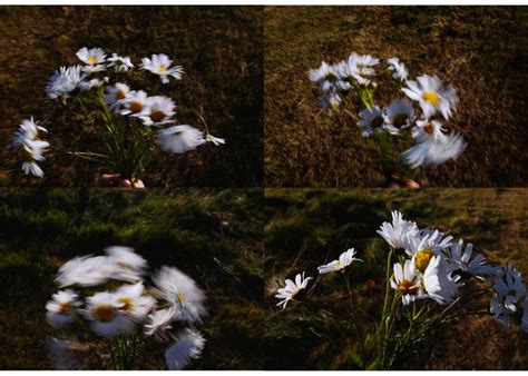 Personal Iris Humm Special Projects