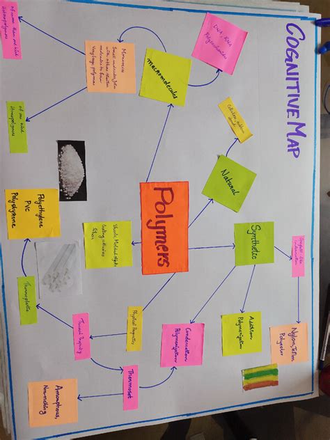 Cognitive Map