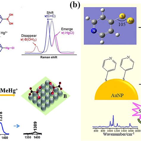 A Uv Vis Spectra Of Ethylenediaminetetraacetic Acid Edta Criii