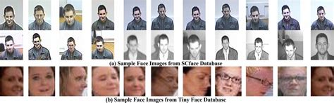 Sample Images Used For Low Resolution Face Recognition Download