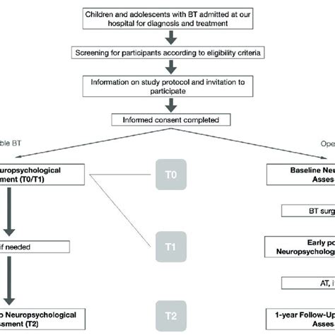 Study Protocol Flowchart Download Scientific Diagram