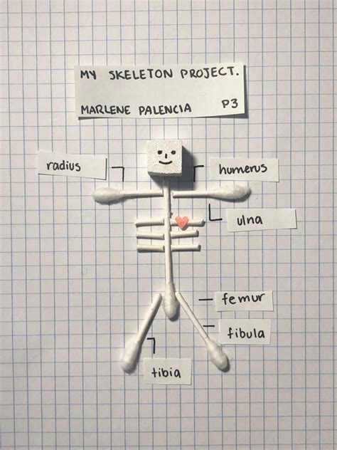 Skeleton Project MARLENE PALENCIA