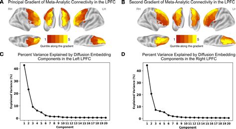 Functional Gradients In The Human Lateral Prefrontal Cortex Revealed By A Comprehensive