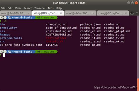 漂亮的终端：zsh zim powerlevel10k nerd font 卸载powerlevel10k csdn博客