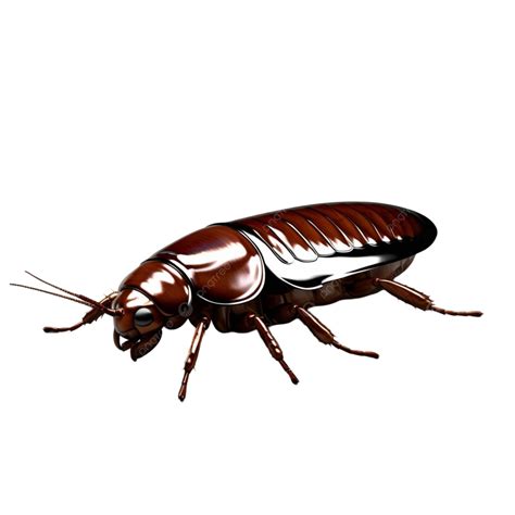 Realistic 3d Rendering Of A Shiny Brown Cockroach With Detailed
