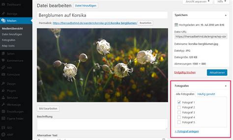 Custom Taxonomy Metabox Im Wordpress Media Modal Getup Works