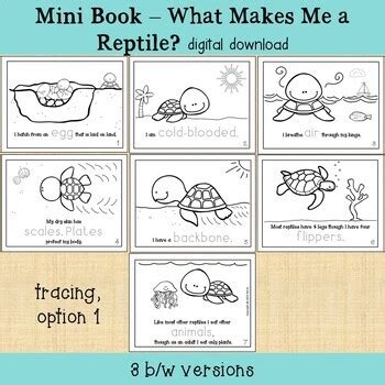 What Makes Me A Reptile Sea Turtle Mini Book By Miz B TPT