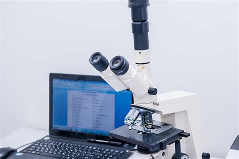 현대 현미경 디지털 카메라 및 병원 실험실에서 컴퓨터 선택적 초점 0명에 대한 스톡 사진 및 기타 이미지 0명 Dna 개발 Istock