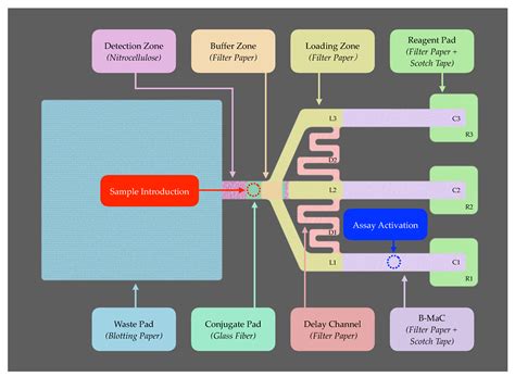 Micro Free Full Text A Microfluidic Paper Based Lateral Flow Device