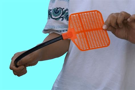 2 Cans Squashing Mosquitoes Royalty Free Photos And Stock Images Shutterstock