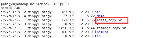hadoop之hdfs查看fsimage和edits 通过命令查找fsimage与edits文件 csdn博客
