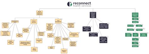 Program Organization Chart Reconnect Health Services