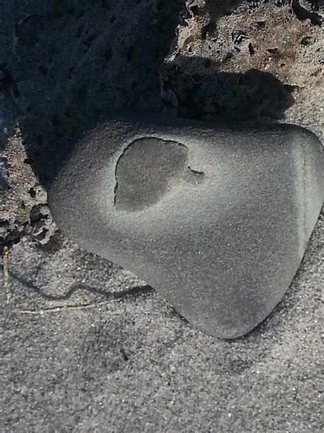 This Rock Has A Tree On It R Mildlyinteresting