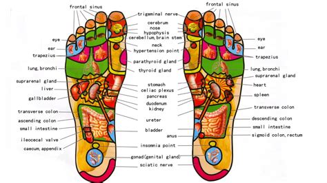 Reflexology Therapy
