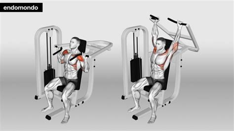 5 Shoulder Machine Workout Exercises To Gain Strength In 2024