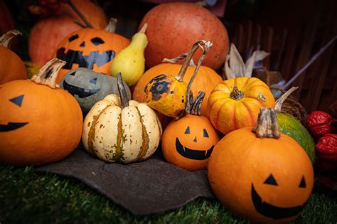 ハロウィンの商用利用可フリー写真素材7444 フォトック