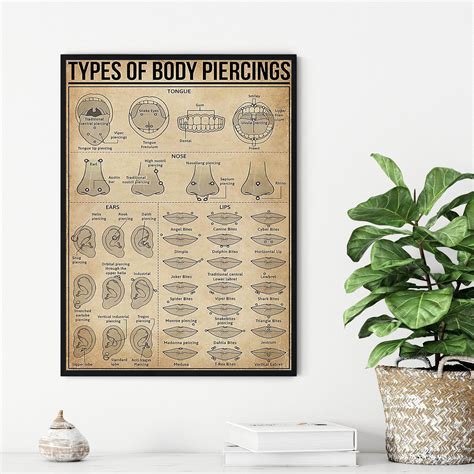 Types Of Body Piercings Knowledge Poster Body Piecing Chart Wall Art Vintage Knowledge Poster Types Of Body Piercings Knowledge Poster Body Piecing Chart Wall Art Vintage Knowledge Poster