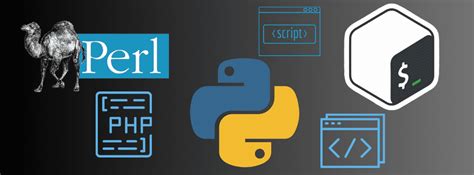 Examples Of Shell Script Wrappers Enhancing Ping And Host Commands Blog Hostzealot