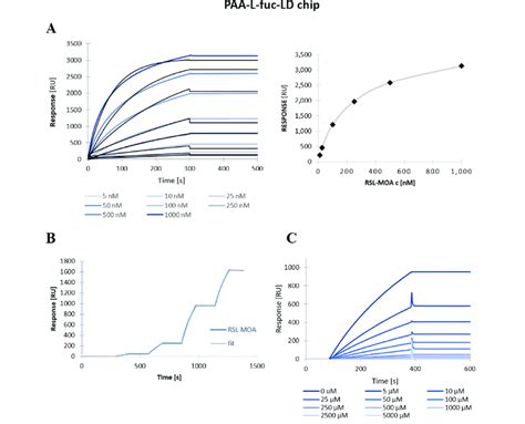Spr Sensorgrams Of Janus Lectin Rsl Moa On Cm5 Paa A Fuc Ld Chip A Download Scientific