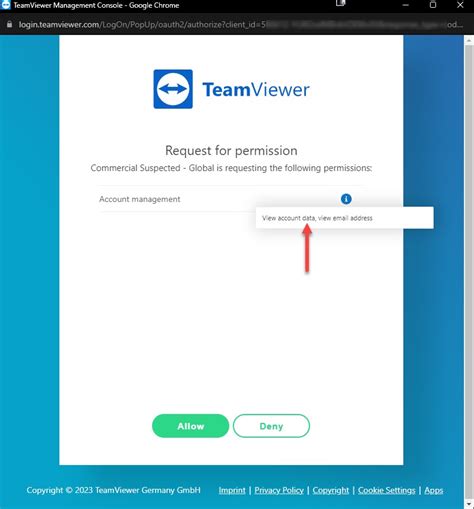 What Account Data Am I Giving Teamvviewer Support Permissions To If I Proceed With A Reset Of