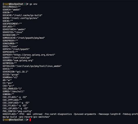 debian 11 安装部署 go 和设置环境变量 debian安装go csdn博客