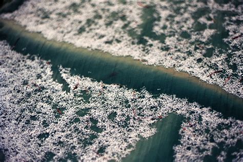 35mm on Behance