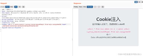 Ctfhub Cookie注入，ua注入，refer注入，过滤空格（利用hackbar插件）buuctf 上hackbar