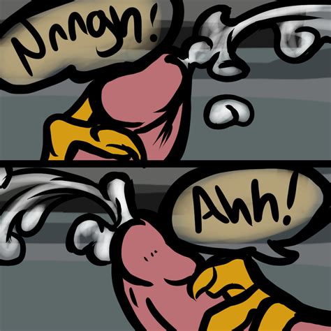 Rule 34 2016 Anonyartist Anthro Askos Avian Avian Starbound Bird