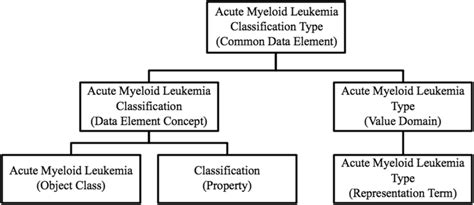 Example Of CDE Structure The CDE Structure For A Data Element Download Scientific Diagram