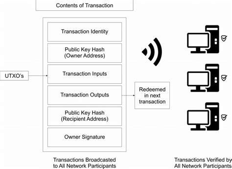 The Transaction Confirmation Phase Download Scientific Diagram