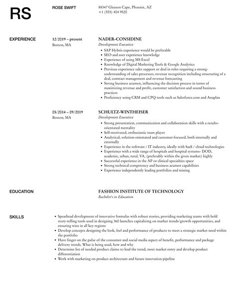 Development Executive Resume Samples Velvet Jobs
