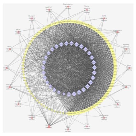 Component Target Pathway Network Componenttarget Pathway Network Was
