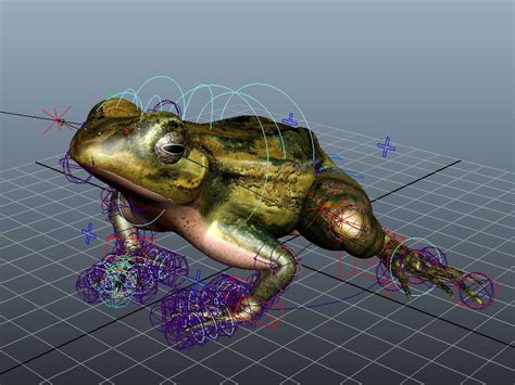 Mink Frog Rig 3d model Maya files free download - CadNav