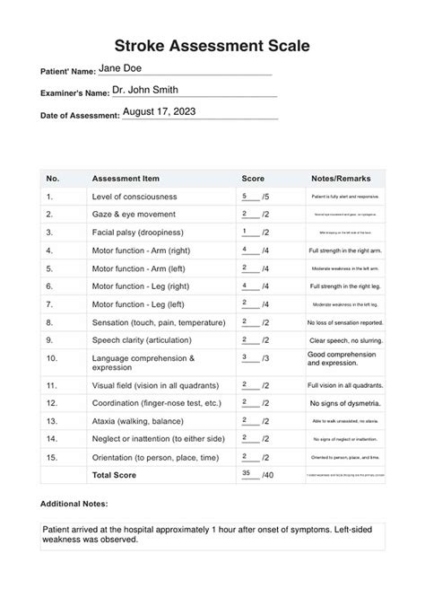 Stroke Assessment Scale Template And Example Free Pdf Download