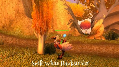 Phoenix Hatchling And Swift White Hawkstrider ☄ How To 🤗 Wow Amino