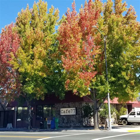 The 10 Best Hotels In Willits Ca 2026 From 69 Tripadvisor
