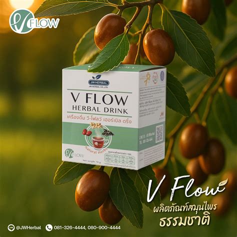 V Flow V Flow วีโฟลว์ สมุนไพรบำรุงร่างกาย หลอดเลือด