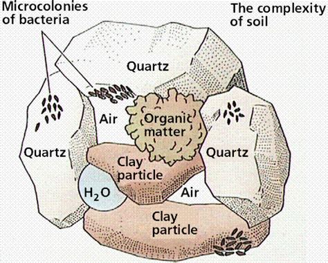 Oil Be Seeing You Soil Fertility And Carrying Capacity