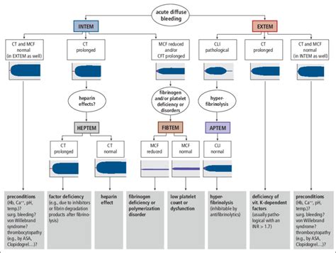 ROTEM Diagnostic Algorithm Of The Essener Runde Task Force