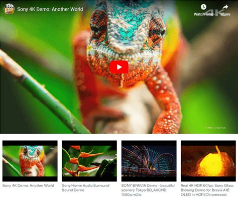 14 Best Youtube Embed Plugin Wordpress In 2024 Pluginic