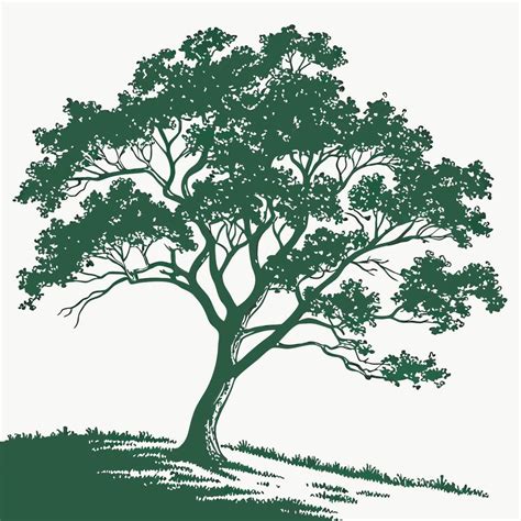 Green Tree Drawing Illustration For Nature And Art Vector Art At Vecteezy