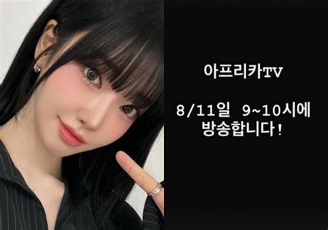 Bj 과즙세연 라이브 하이브 방시혁 만남 어떻게 말할까[★focus]