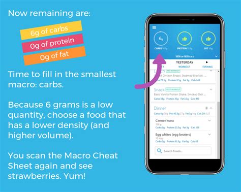 Tips To Help You Hit Your End Of The Day Macros Macrostax