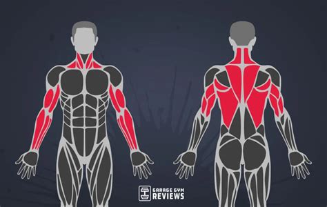 Weighted Pull Ups An Expert Shows You How Garage Gym Reviews