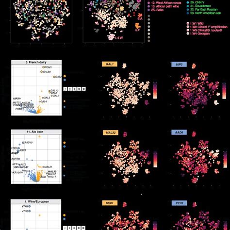 Subpopulation Specific Differential Gene Expression A B Isolate Level Download Scientific