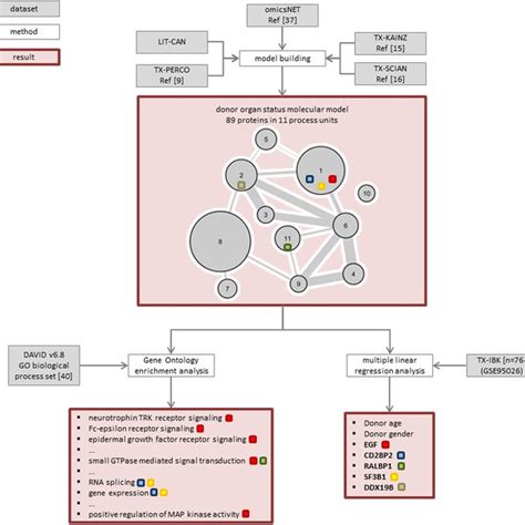 Data Analysis Workflow And Results Schematic Representation Of The