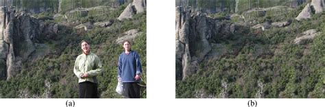 figure 1 from dwt pca evd based copy move image forgery detection
